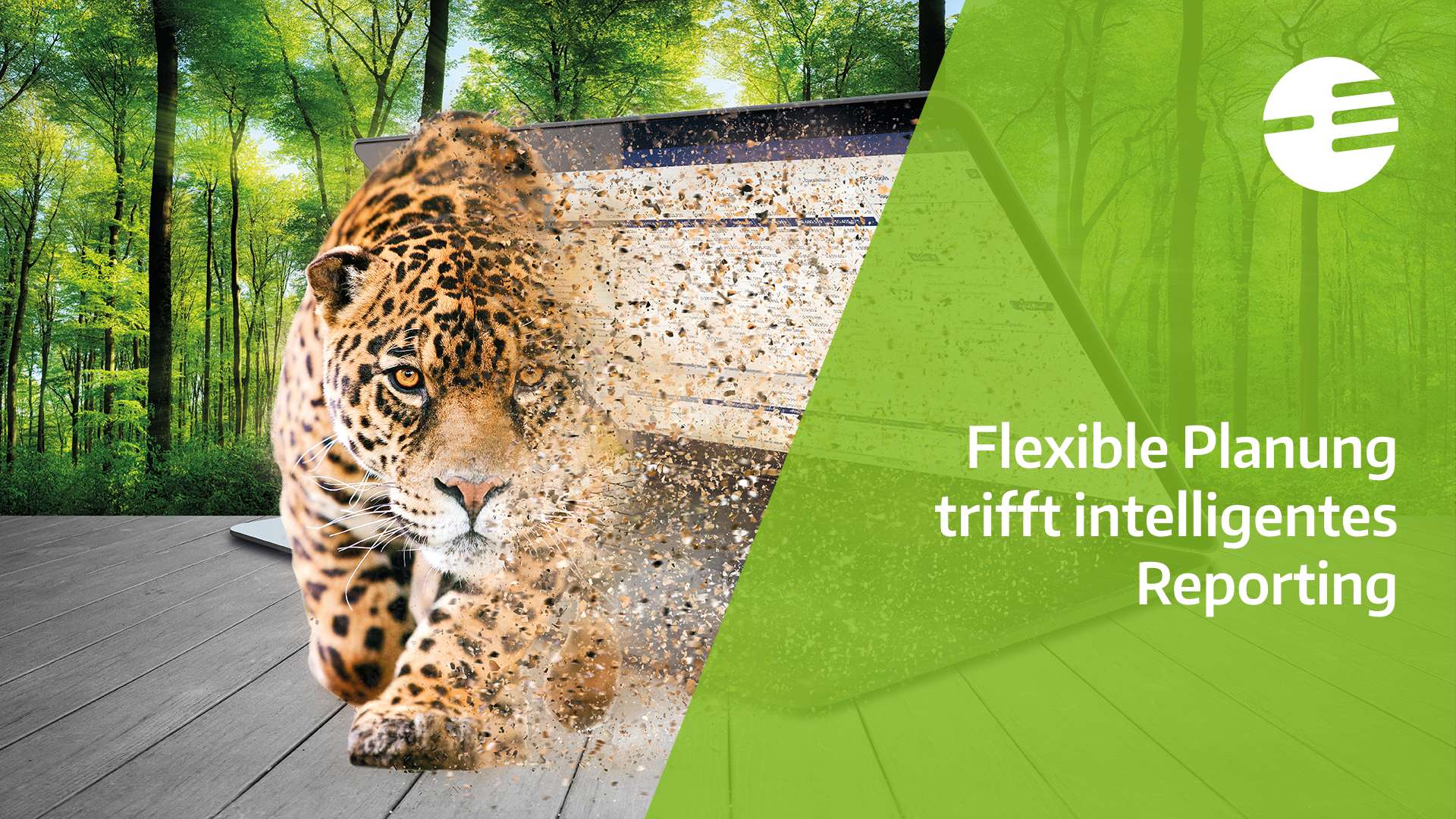 Corporate Planning - Ihre Controlling Software seit 30 Jahren!