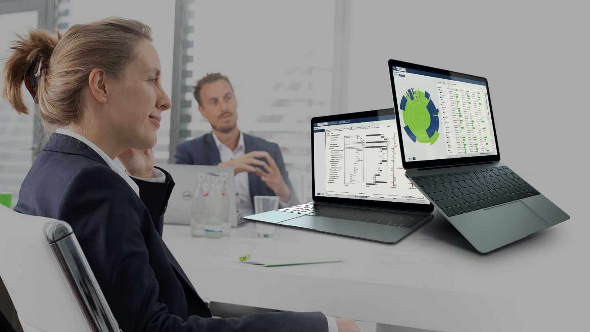 Leistungsstarke Controlling-Software für effektives ...